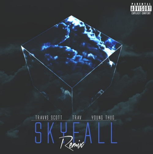 Trav - Skyfall (Remix)